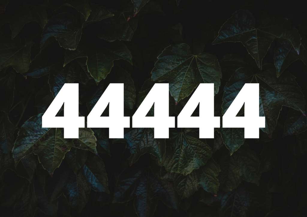 Angel Number 44444: Protection and Inner Wisdom