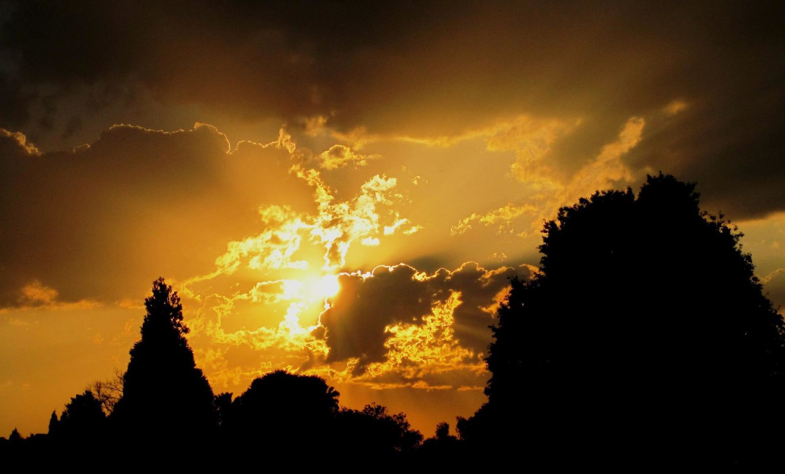 Mintaka Starseed: Origins And 10 Major Signs That You May Be One