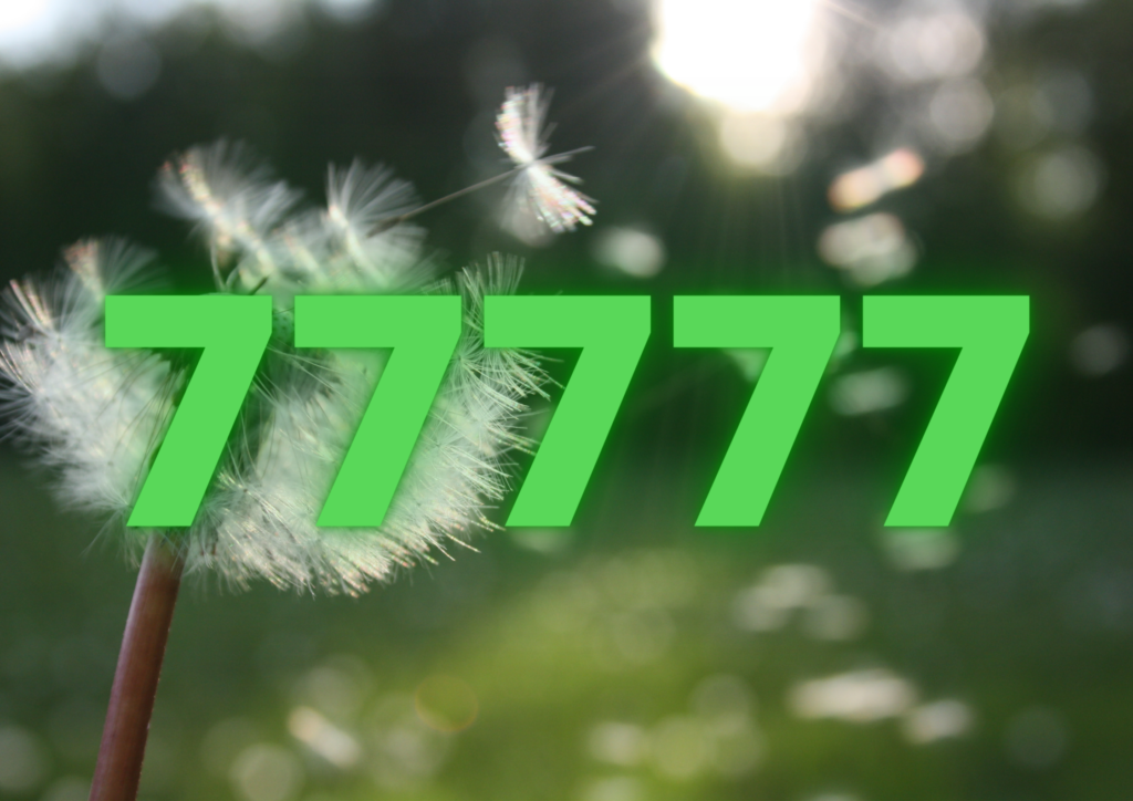 Angel Number 77777: Discover Your Divine Path