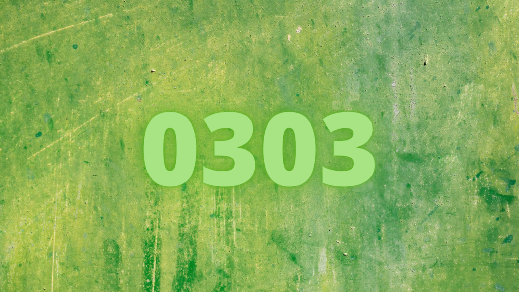 Angel Number 0303 Meaning: How To Start A New Journey