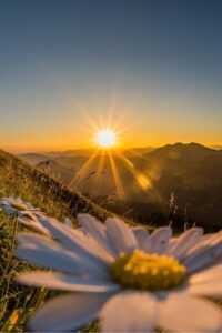 Songs about New Beginnings To Help You With A Fresh Start
