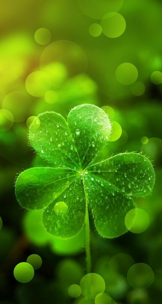 Good Luck Symbols | Discover The Meaning And Power